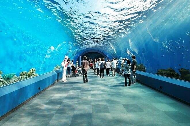 Ripley's Aquarium of Myrtle Beach