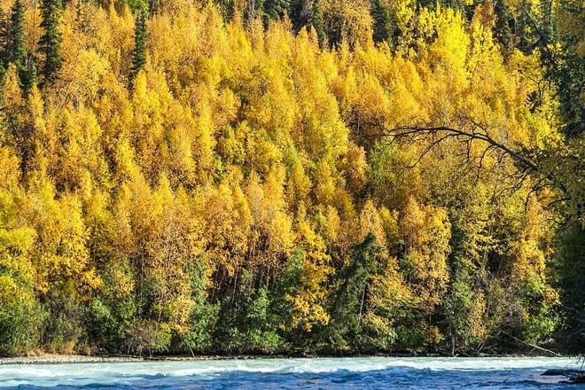 Russian River — Guerneville