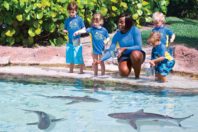 Sea Squirts &mdash; Paradise Island