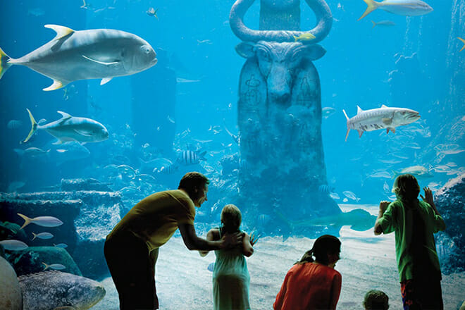 The Dig &mdash; Paradise Island