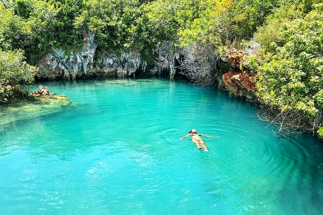 Tom Moore&rsquo;s Jungle &mdash; Hamilton