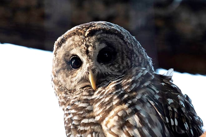 Tracy Aviary & Botanical Gardens