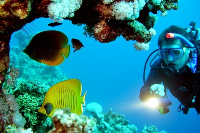 Try Scuba Diving &mdash; Puerta de Tierra