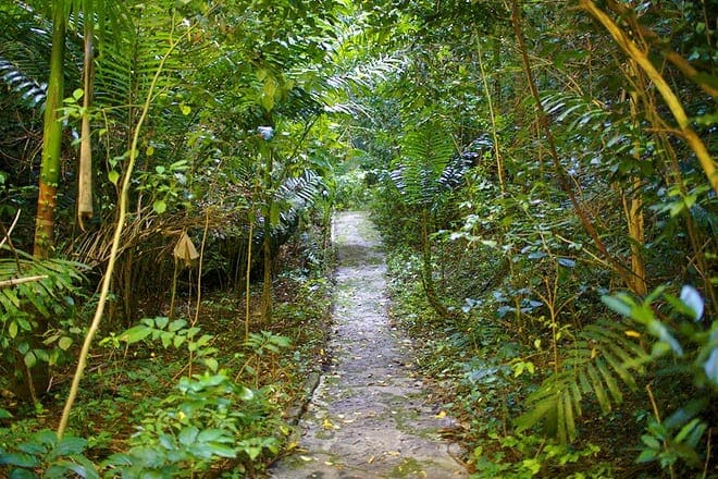 Welchman Hall Gully &mdash; St. Thomas