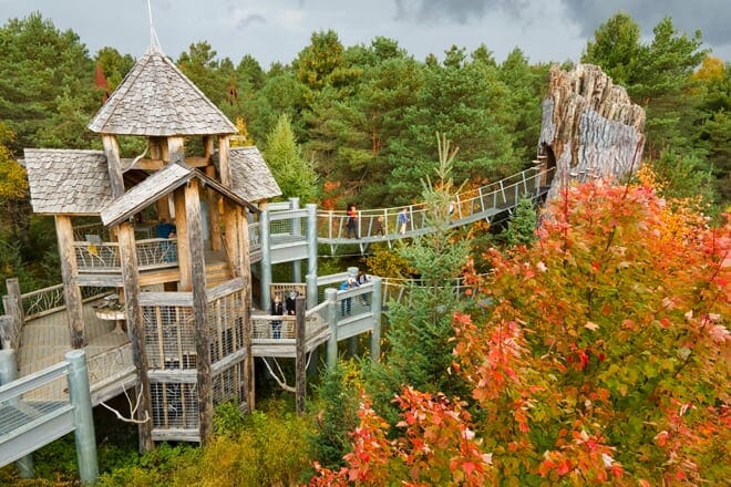 Wild Center &mdash; Tupper Lake