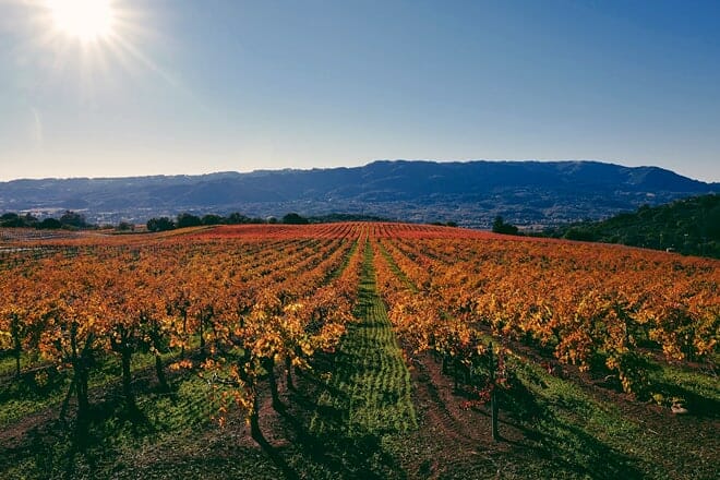 Wineries in Napa & Sonoma Counties