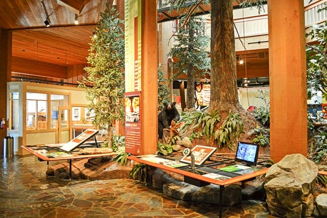 World Forestry Center