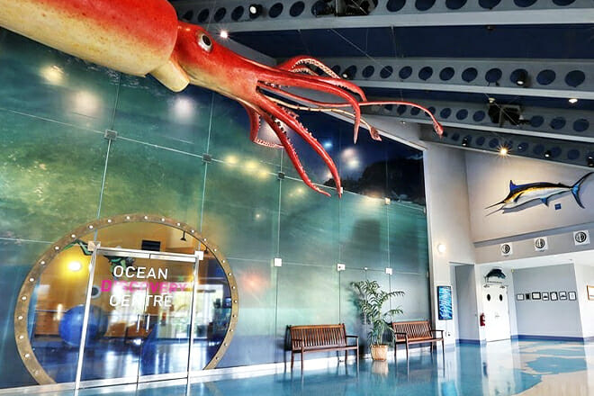 Bermuda Underwater Exploration Institute