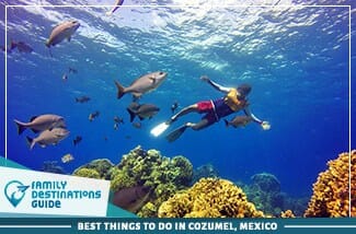 Best Things To Do In Cozumel, Mexico