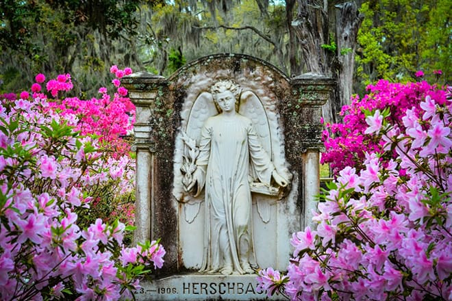 Bonaventure Cemetery