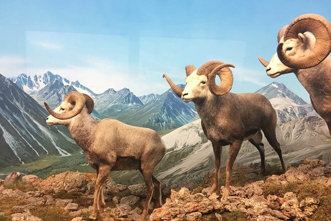 Denver Museum of Nature & Science