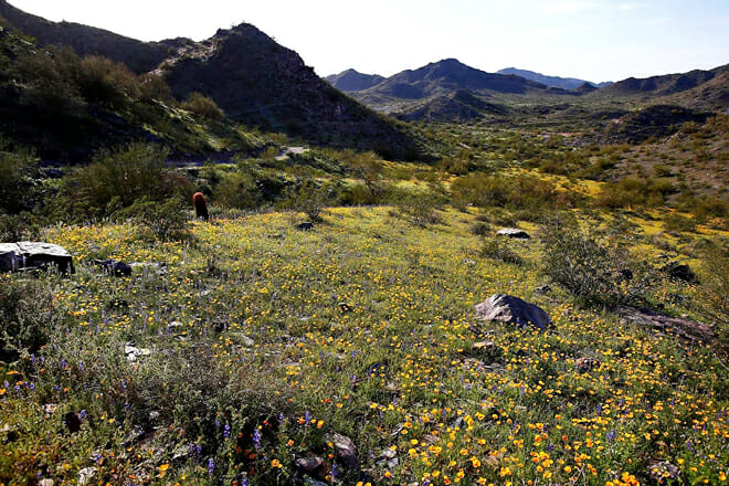Dreamy Draw Recreation Area
