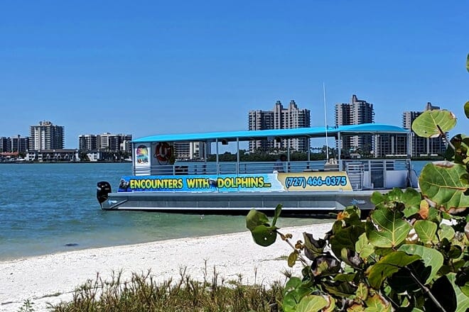 Encounters With Dolphins