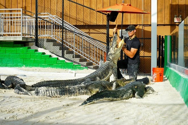 Everglades Holiday Park