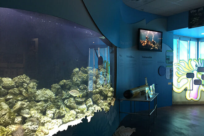 Florida Keys Eco-Discovery Center