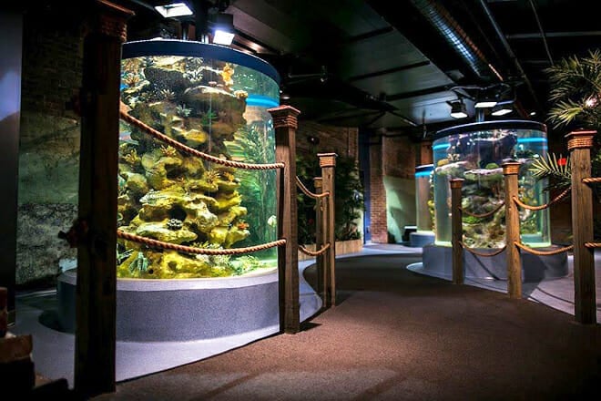 Greater Cleveland Aquarium
