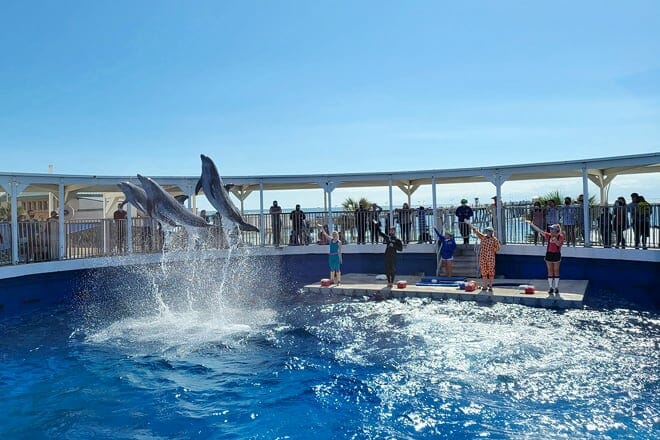 Gulfarium Marine Adventure Park