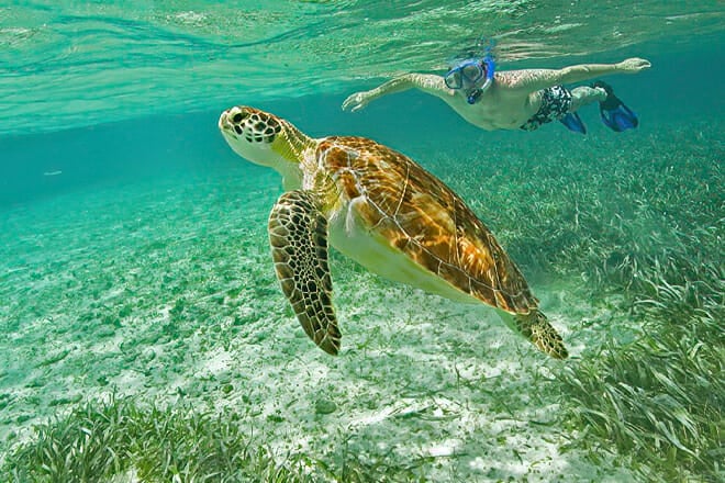 Hol Chan Marine Reserve