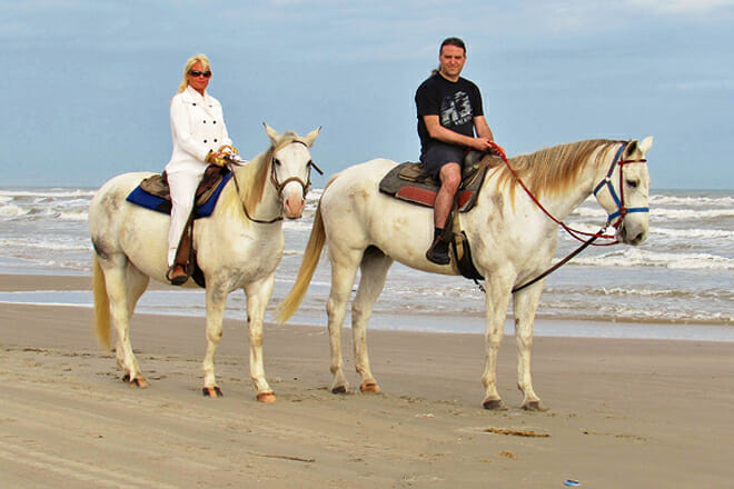 Horses On The Beach