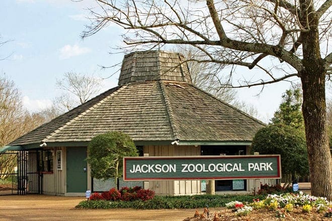 Jackson Zoo