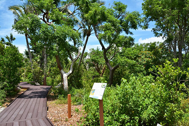 Key West Tropical Forest Botanical Garden