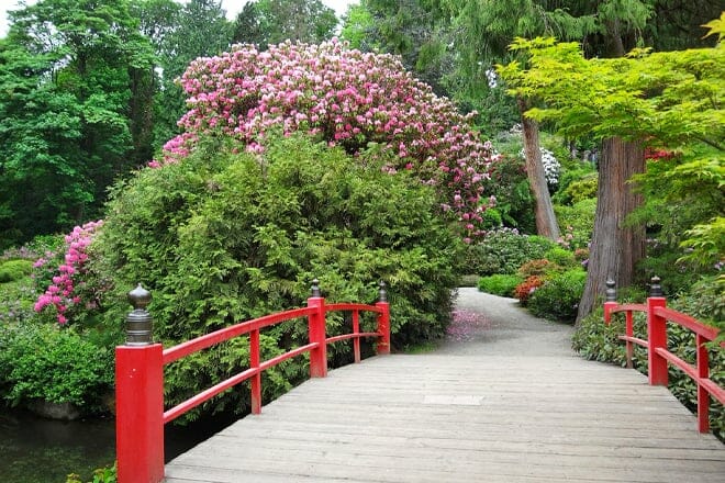 Kubota Garden