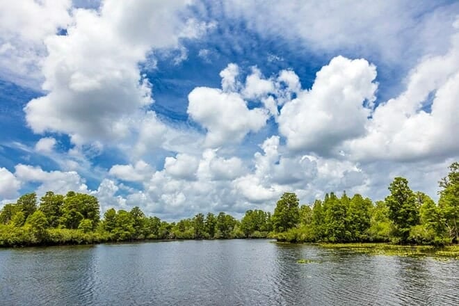 Lettuce Lake Regional Park