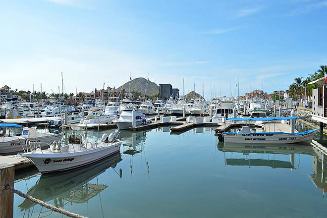 Marina Cabo San Lucas