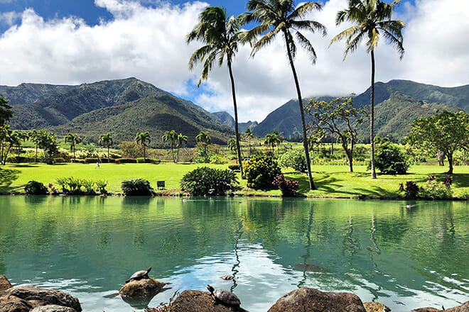 Maui Tropical Plantation