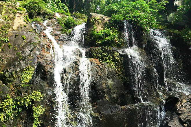 Mayflower Bocawina National Park