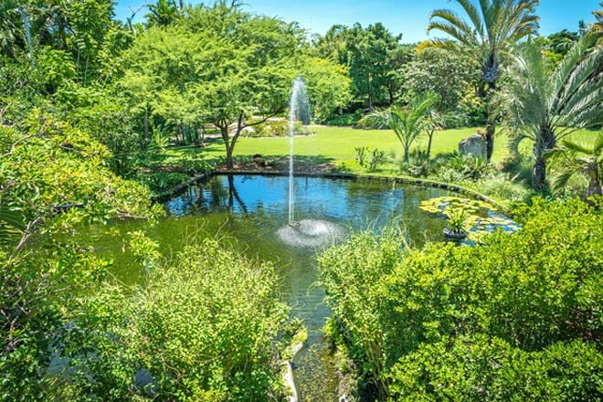 Miami Beach Botanical Garden