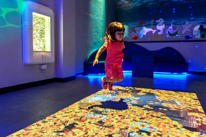 Miami Children’s Museum
