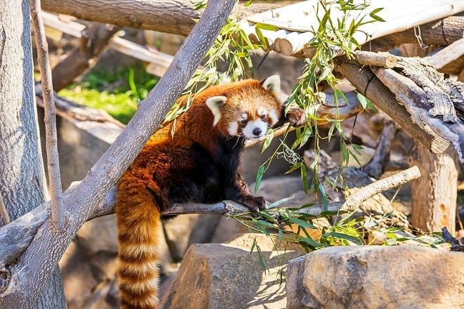 Milwaukee County Zoo