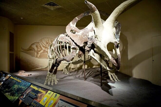 Milwaukee Public Museum