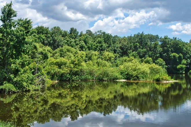 Moccasin Lake Nature Park
