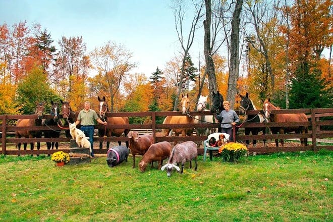 Moose River Farm &mdash; Old Forge