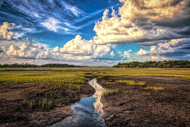 Pinckney Island National Wildlife Refuge