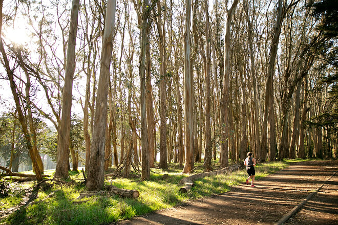 Presidio Of San Francisco