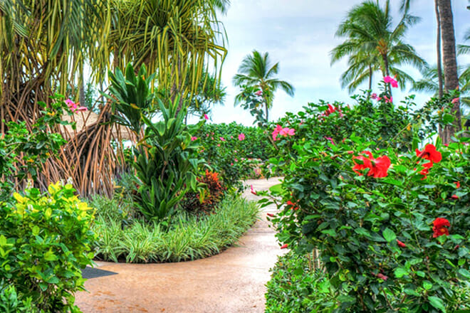 Princeville Botanical Gardens &mdash; Princeville