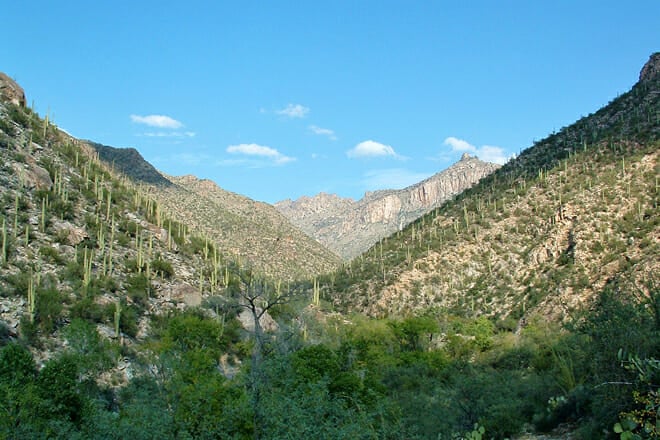 Sabino Canyon