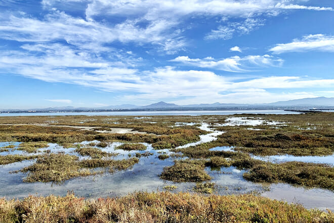 San Diego Bay National Wildlife Refuge