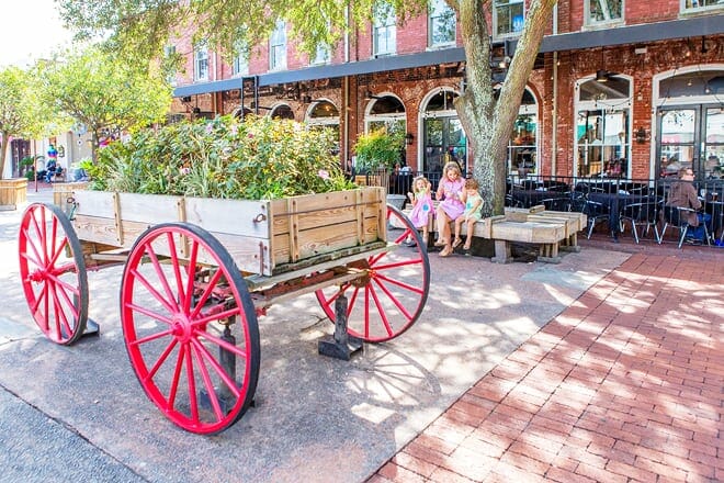 Savannah City Market