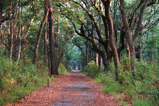 Skidaway Island State Park