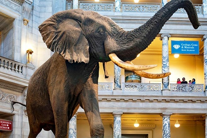 Smithsonian National Museum of Natural History