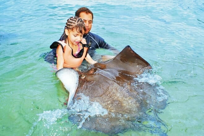 Stingray Beach