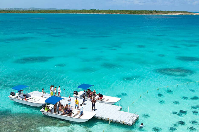 Stingray City Antigua &mdash; St. John&rsquo;s St. Johns