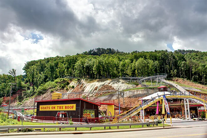 The Coaster at Goats on the Roof