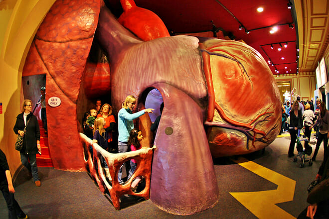 The Franklin Institute