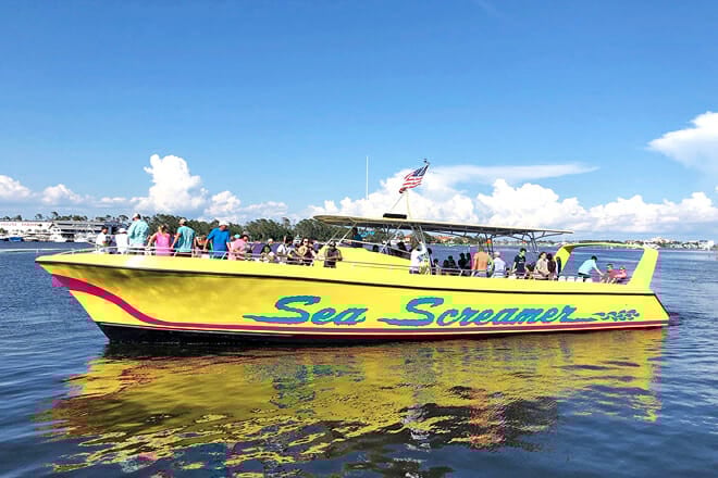 The Sea Screamer &ndash; Dolphin Sightseeing Cruise