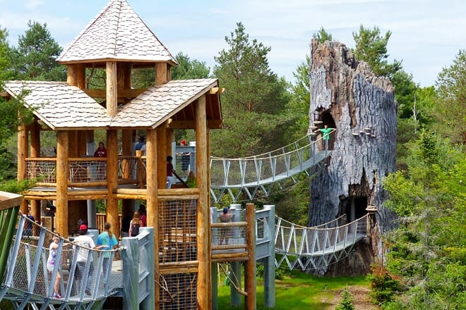 The Wild Center &mdash; Tupper Lake